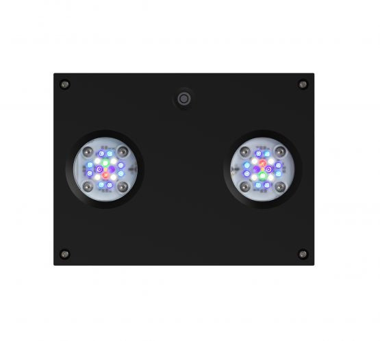 AI Hydra 32HD (Black) – Complete Koi