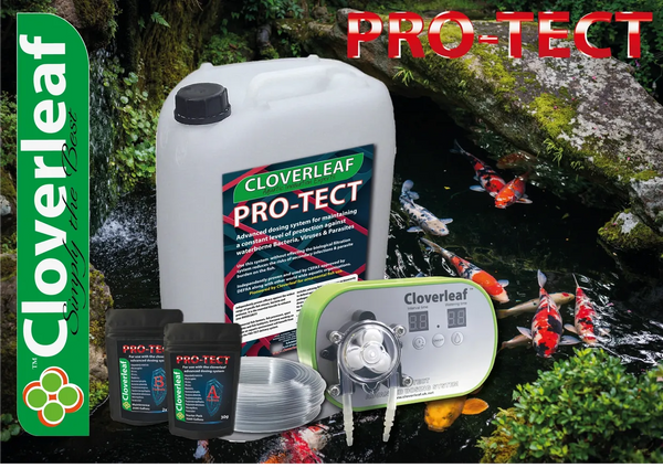 Cloverleaf Pro-Tect Dosing System – Complete Koi