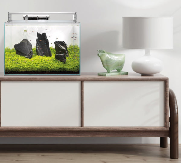 Superfish Scaper 60 Aquarium Kit – Complete Koi