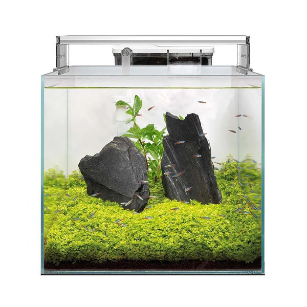 Superfish Scaper Qube 60 Aquarium Kit – Complete Koi