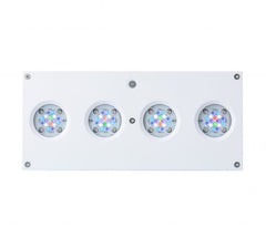 AI Hydra 64HD (White) – Complete Koi