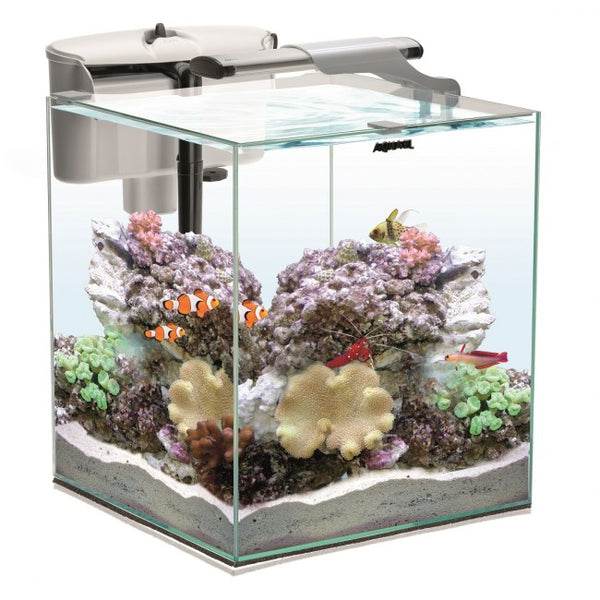 Aquael Nano Reef Duo Fish Aquarium 49L – Complete Koi