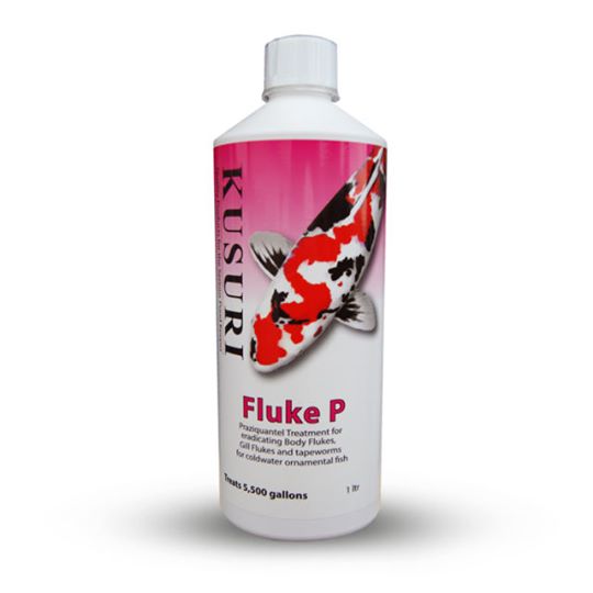 Kusuri Fluke P Koi Medication Treatment 1L – Complete Koi